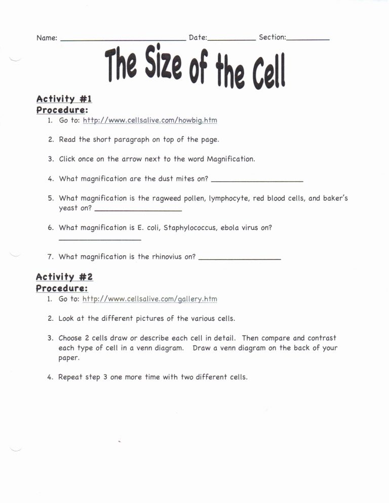 5Th Grade Science Worksheets Elegant 5Th Grade Scientific Method | 5Th ...
