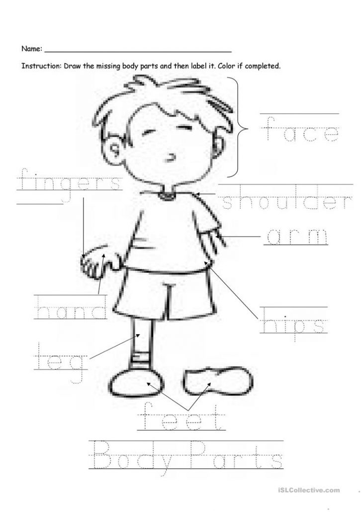 Body Parts Labeling Worksheet - Free Esl Printable Worksheets Made ...