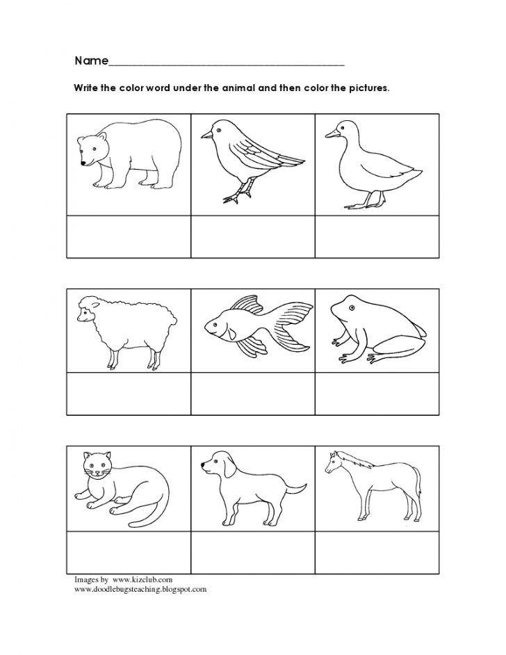 Coloring ~ Brown Bear Coloring Pages Eric Carle Pdf One Per | Brown ...