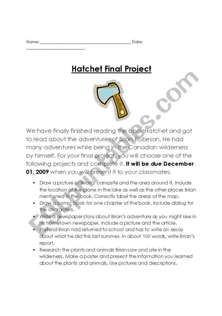 English Worksheets: Hatchet Final Project | Hatchet Worksheets ...