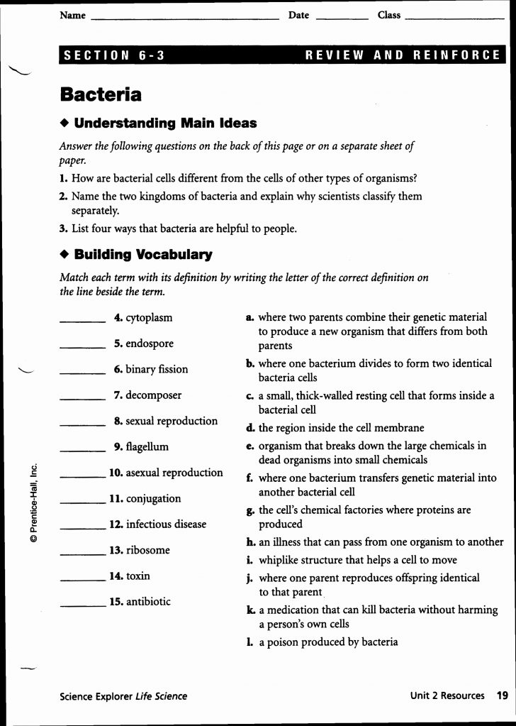 Physical Science Worksheets High School New High School Science | Free ...