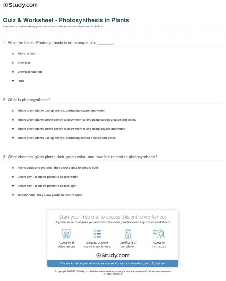 Quiz & Worksheet - Photosynthesis In Plants | Study | Free Printable ...