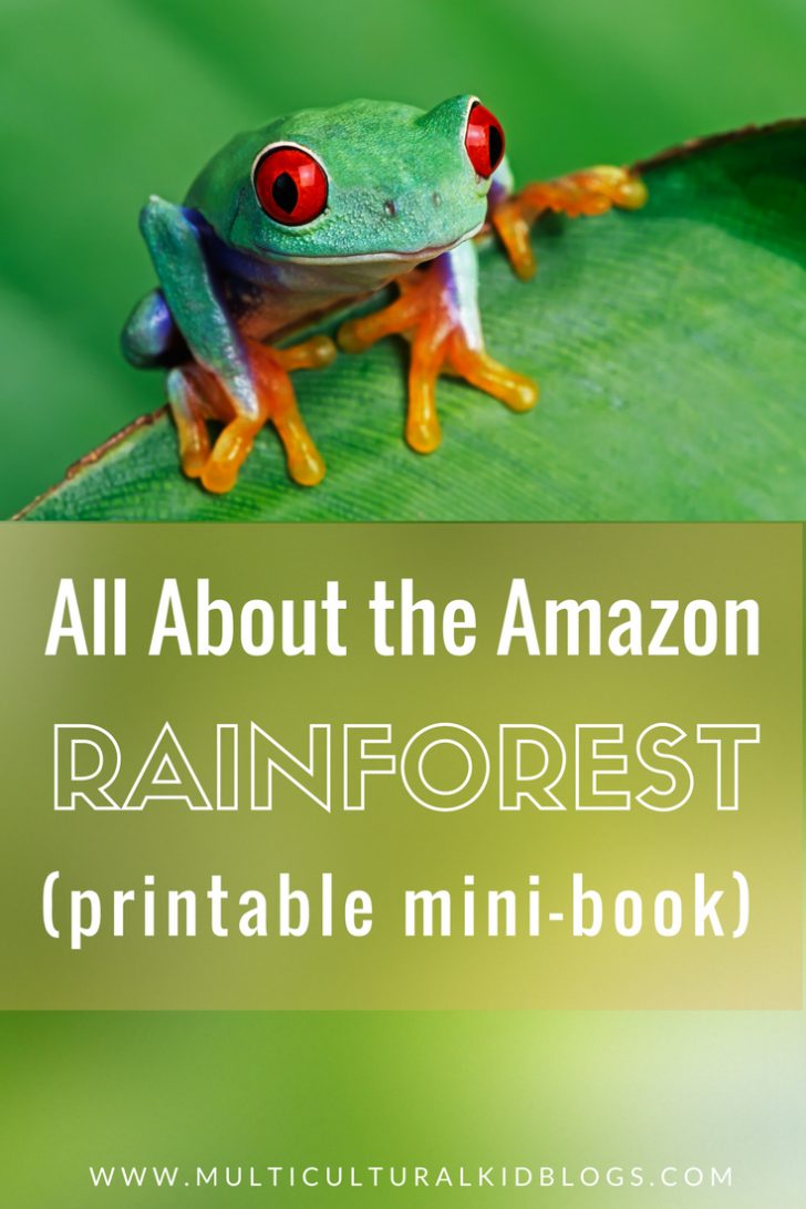 The Amazon Rainforest For Kids With Free Printable Mini-Book ...