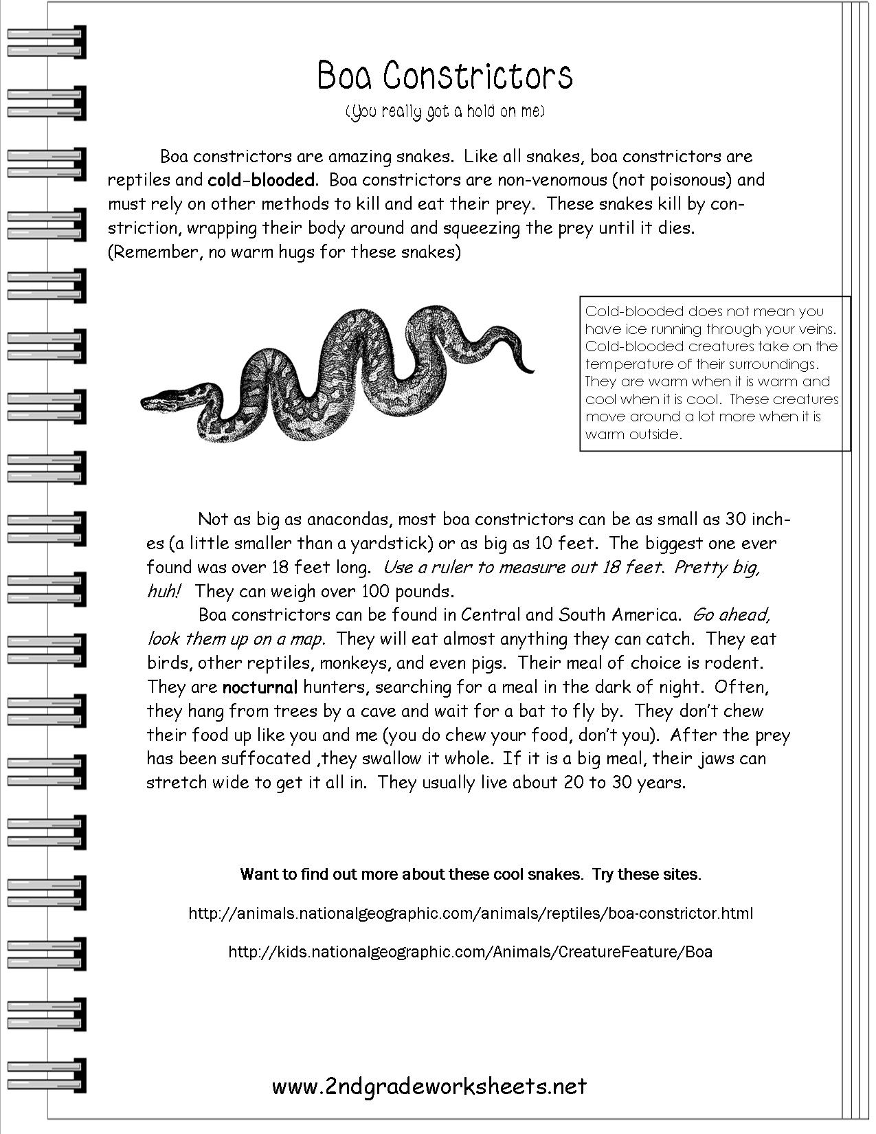 Free Printable Reptile Worksheets Printable Worksheets