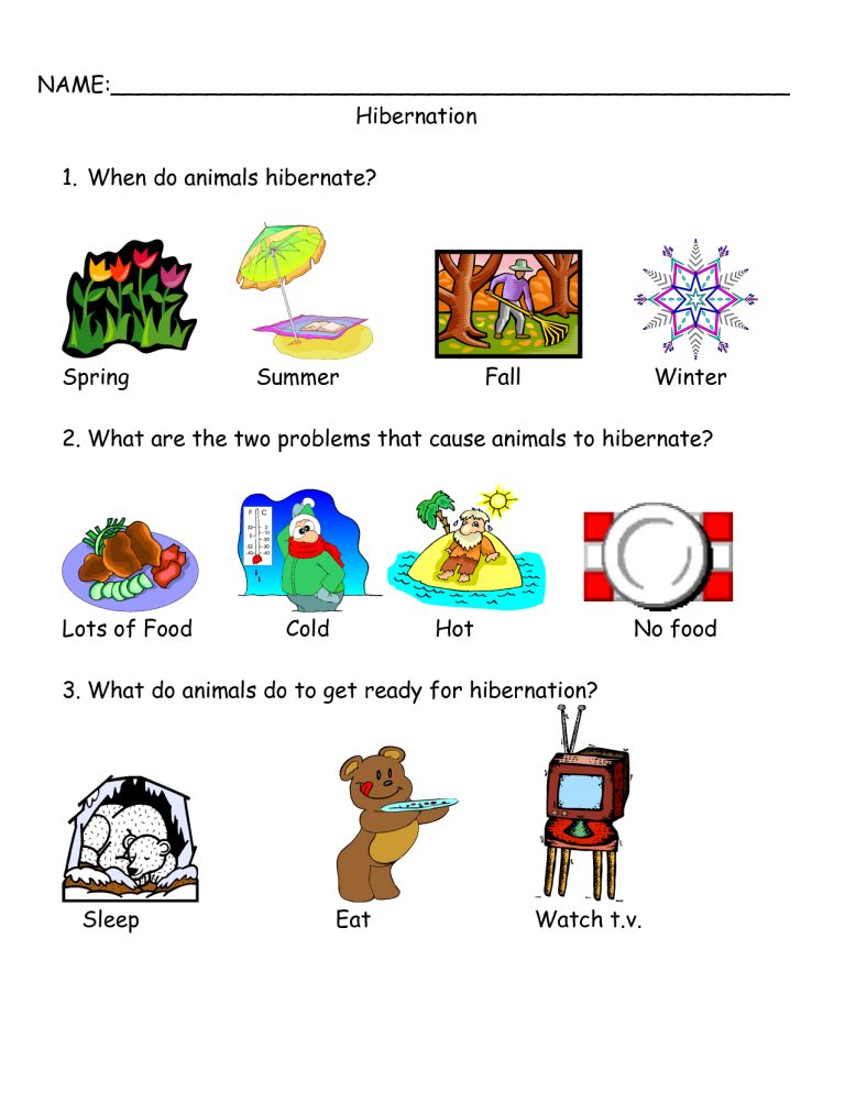 Worksheets On Bear Hibernation - Google Search | Bear Hibernation ...